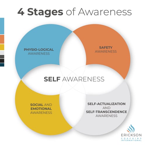 Navigating the Four Stages of Awareness: A Journey in Coaching